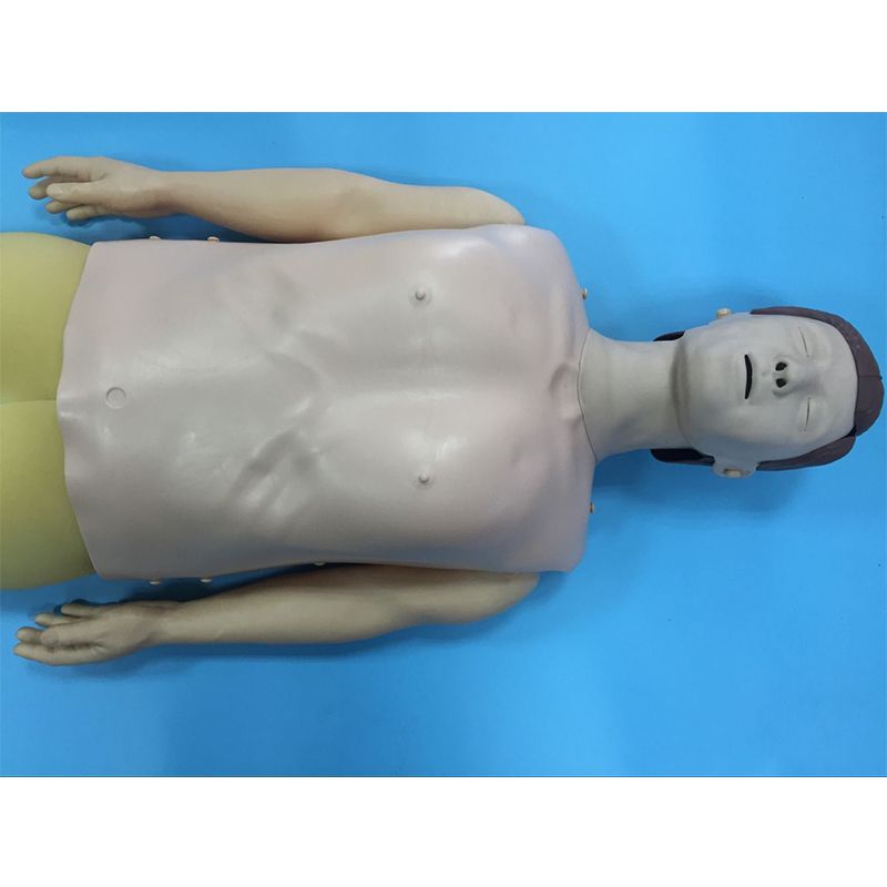 What Is the Difference Between a Manikin and a Mannequin