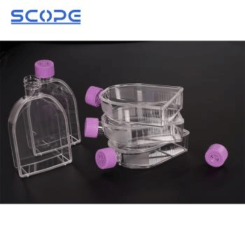 Choosing the Right Cell Culture Flask for Your Cells: T25 Vs. T75 Vs ...