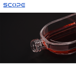 Choosing the Right Cell Culture Flask for Your Cells: T25 Vs. T75 Vs ...