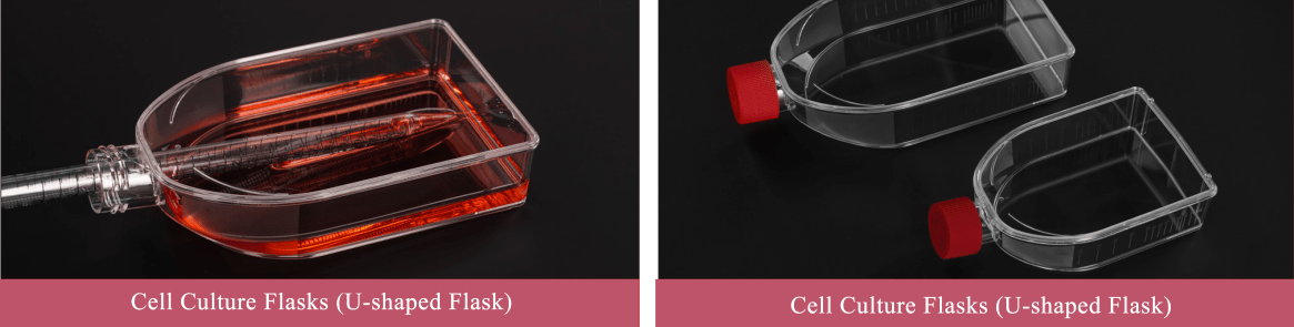 Advanced Treatments for Cell Culture Flasks: Coatings, Surfaces, and ...