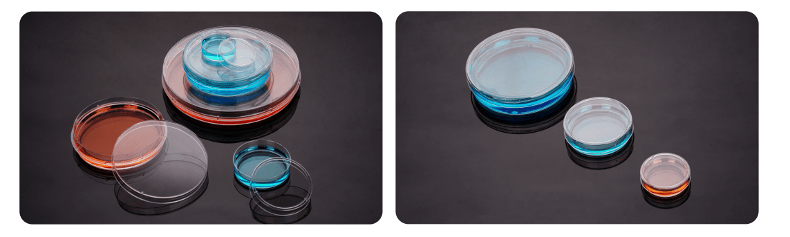 How Do I Dispose of Cell Culture Dishes - Scopelab