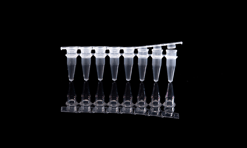 What is a PCR Tube and How to Choose the Proper One - Scopelab