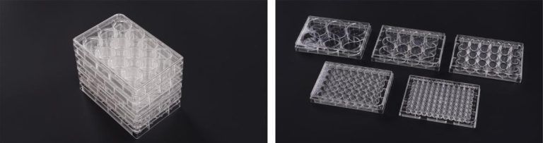 A Guide to Cell Culture Plate Preparation, Selection, and Sterility ...