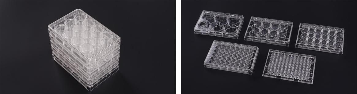 A Guide to Cell Culture Plate Preparation, Selection, and Sterility ...