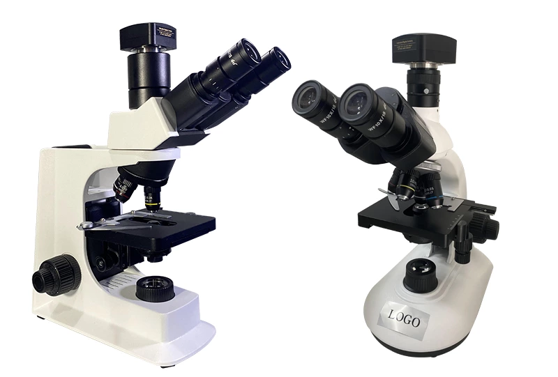 What are the Digital Cameras for Microscope Analysis - Scopelab
