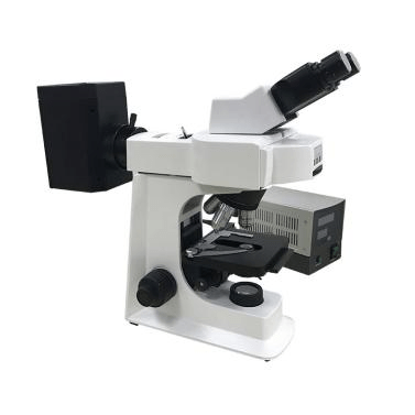 SMART-FL Fluorescence Microscope - Binocular/Trinocular - Scopelab