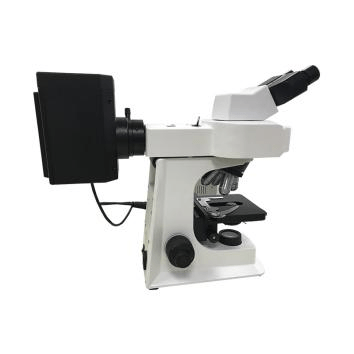 SMART-FL Fluorescence Microscope - Binocular/Trinocular - Scopelab