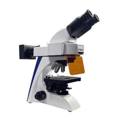 How to Use a Fluorescence Microscope and What Are the Safety ...