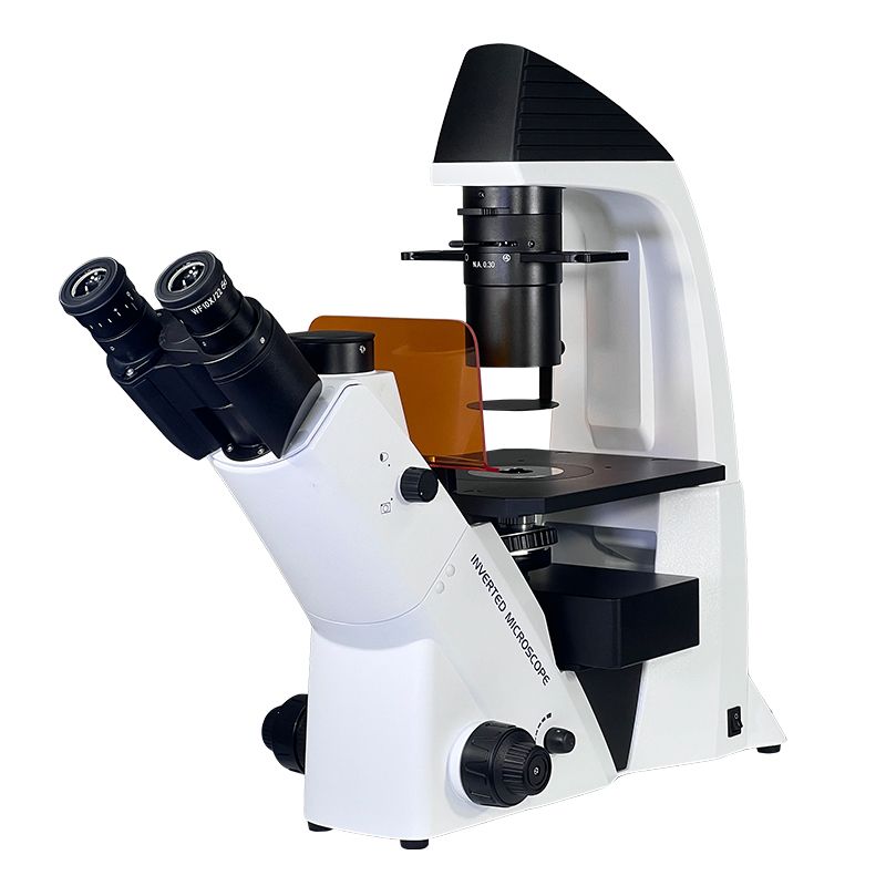 Binocular vs Trinocular Microscope: What Are the Differences? - Scopelab