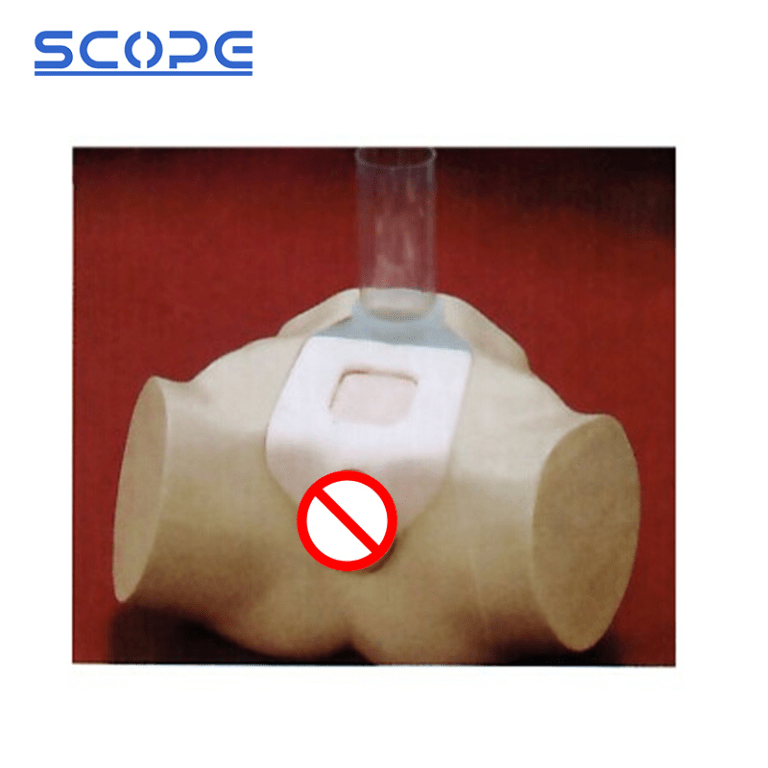 SC-H29F Female Bladder Puncture Simulator - Scopelab