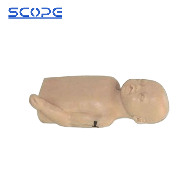 SC-HS6-2 Infant Hand Arm Venipuncture Injection Manikin - Scopelab