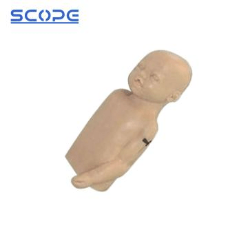 SC-HS6-2 Infant Hand Arm Venipuncture Injection Manikin - Scopelab