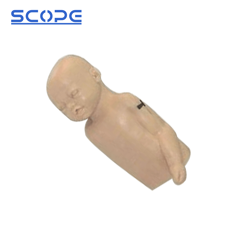 SC-HS6-2 Infant Hand Arm Venipuncture Injection Manikin - Scopelab