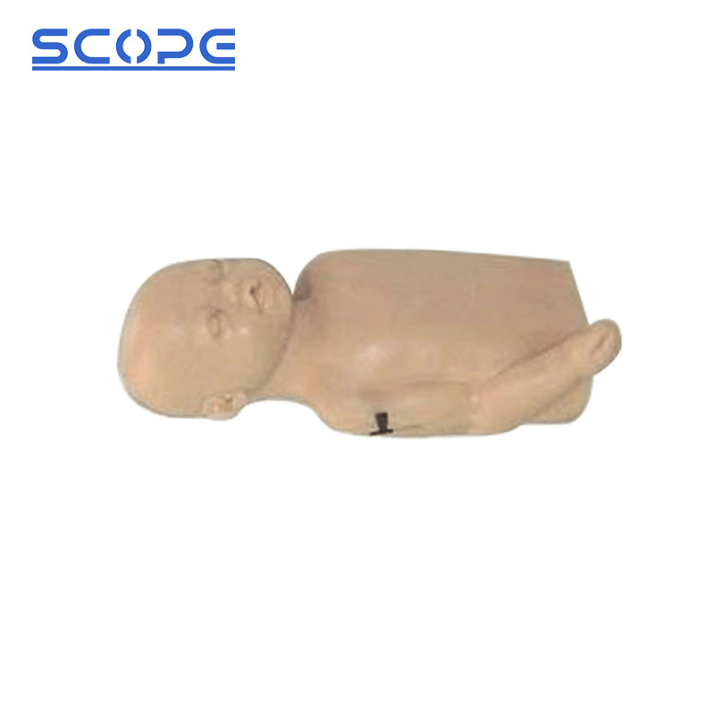 SC-HS6-2 Infant Hand Arm Venipuncture Injection Manikin - Scopelab