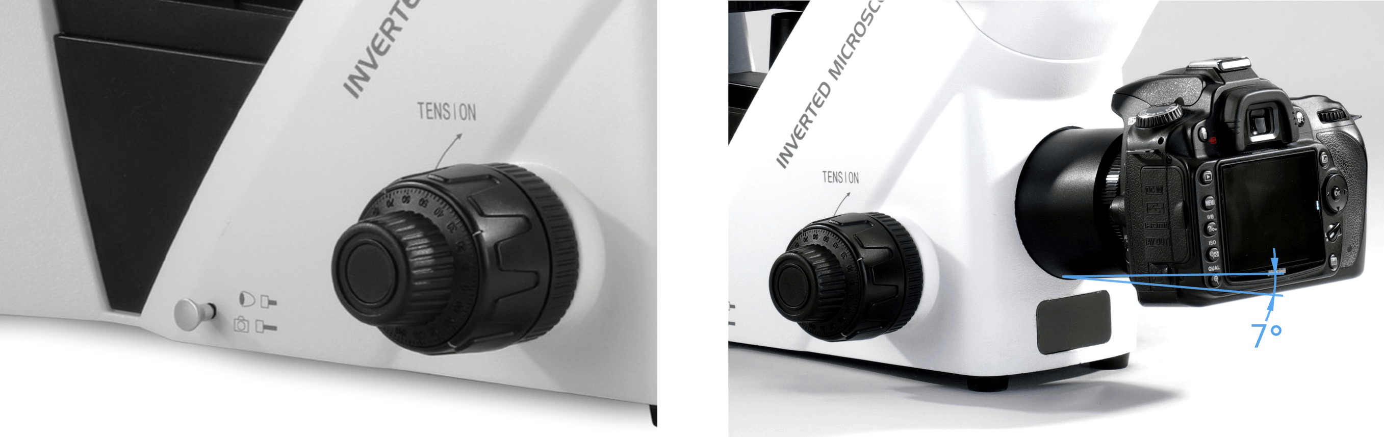 BDS500-FL Inverted Fluorescence Microscope - Scopelab