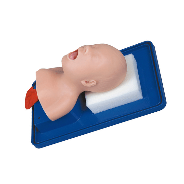 SC-J2A Neonate Head for Trachea Intubation Manikin - Scopelab