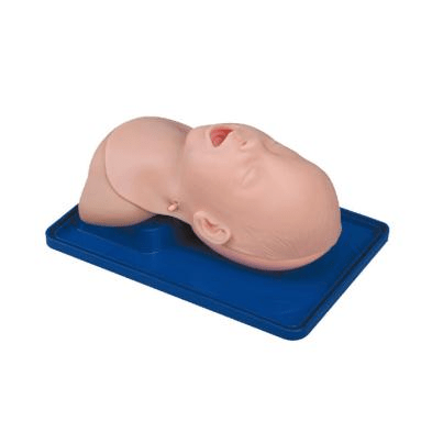 SC-J3A Advanced Infant Head for Trachea Intubation Model - Scopelab
