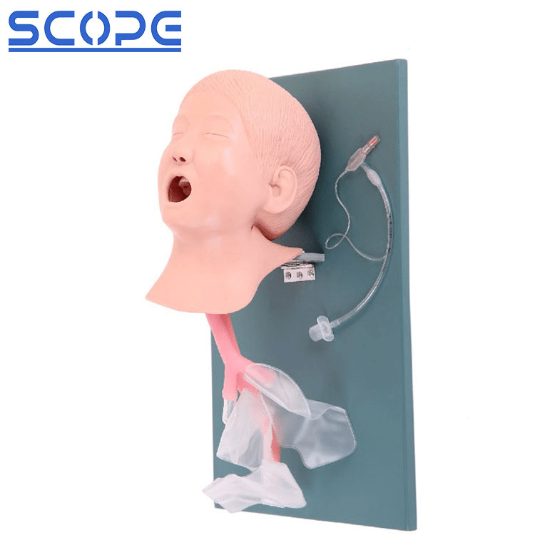 SC-J4A Advanced Child Trachea Intubation Model - Scopelab