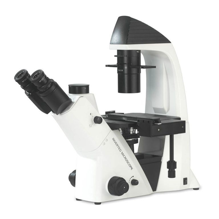 How to Adjust the Condenser for the Microscope- Scopelab