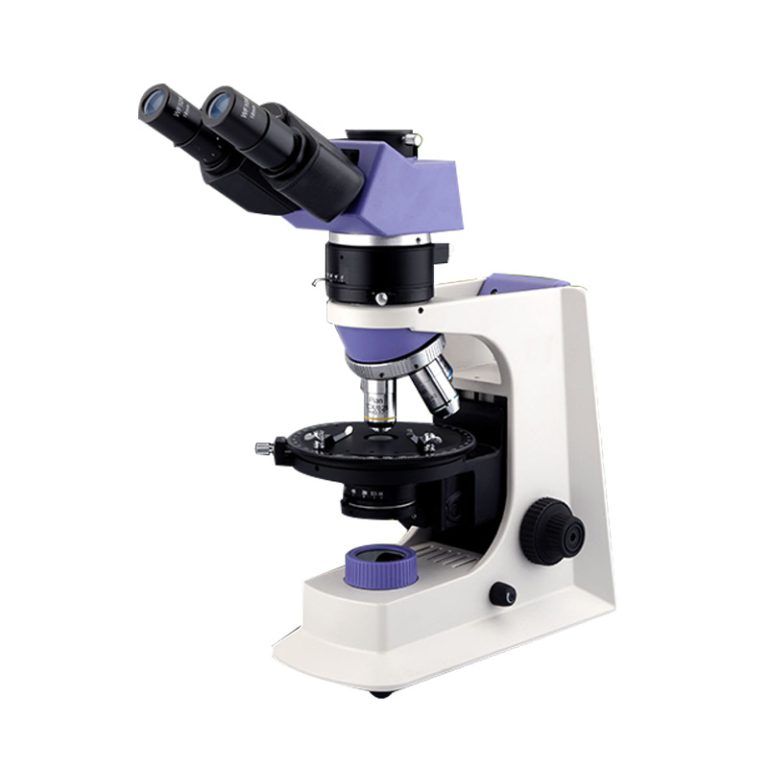 Stereo Microscopes: A Guide to Types, Uses, and Choosing the Right One ...