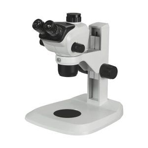 Stereo Microscopes: A Guide to Types, Uses, and Choosing the Right One ...