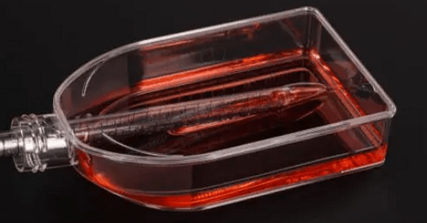 Choosing the Right Cell Culture Flask for Your Cells: T25 Vs. T75 Vs ...