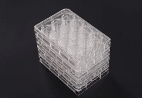 Choosing the Right Cell Culture Flask for Your Cells: T25 Vs. T75 Vs ...