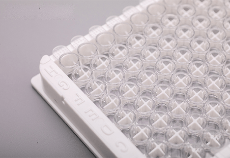 How Do I Seed Cells Onto a Cell Culture Plate - Scopelab