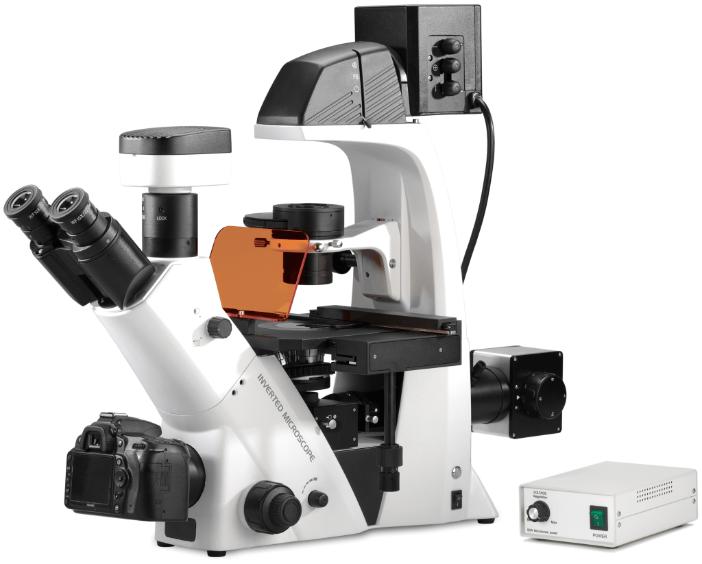 How to Use a Fluorescence Microscope and What Are the Safety ...