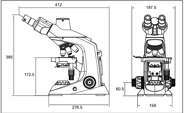 B302 Series Biological Microscope Supplier- Scopelab