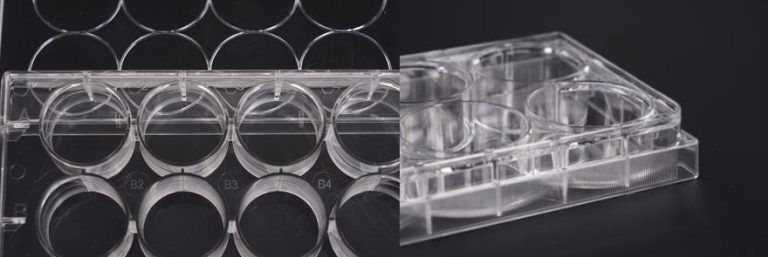 Unlocking the Potential of Cell Culture: The Versatility of Multiwell ...