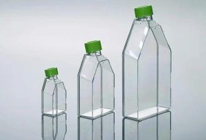 Cell Culture Flasks: Different Sizes and Common Asked Questions - Scopelab