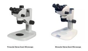 Stereo Microscopes: A Guide to Types, Uses, and Choosing the Right One ...