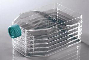 Selecting the Right Flask: A Guide to Tissue Culture Flask Types - Scopelab