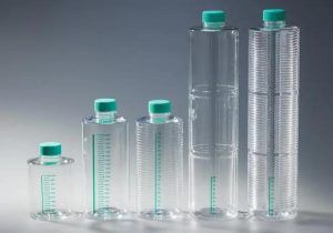 Selecting the Right Flask: A Guide to Tissue Culture Flask Types - Scopelab