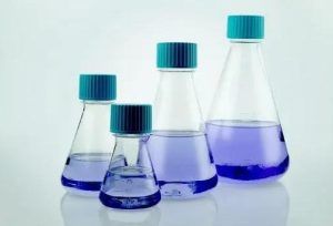 Cell Culture Flasks for Suspension Cells: Choosing Guides and Using ...