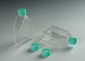 Treated and Non-Treated Cell Culture Flasks: What Are the Differences ...