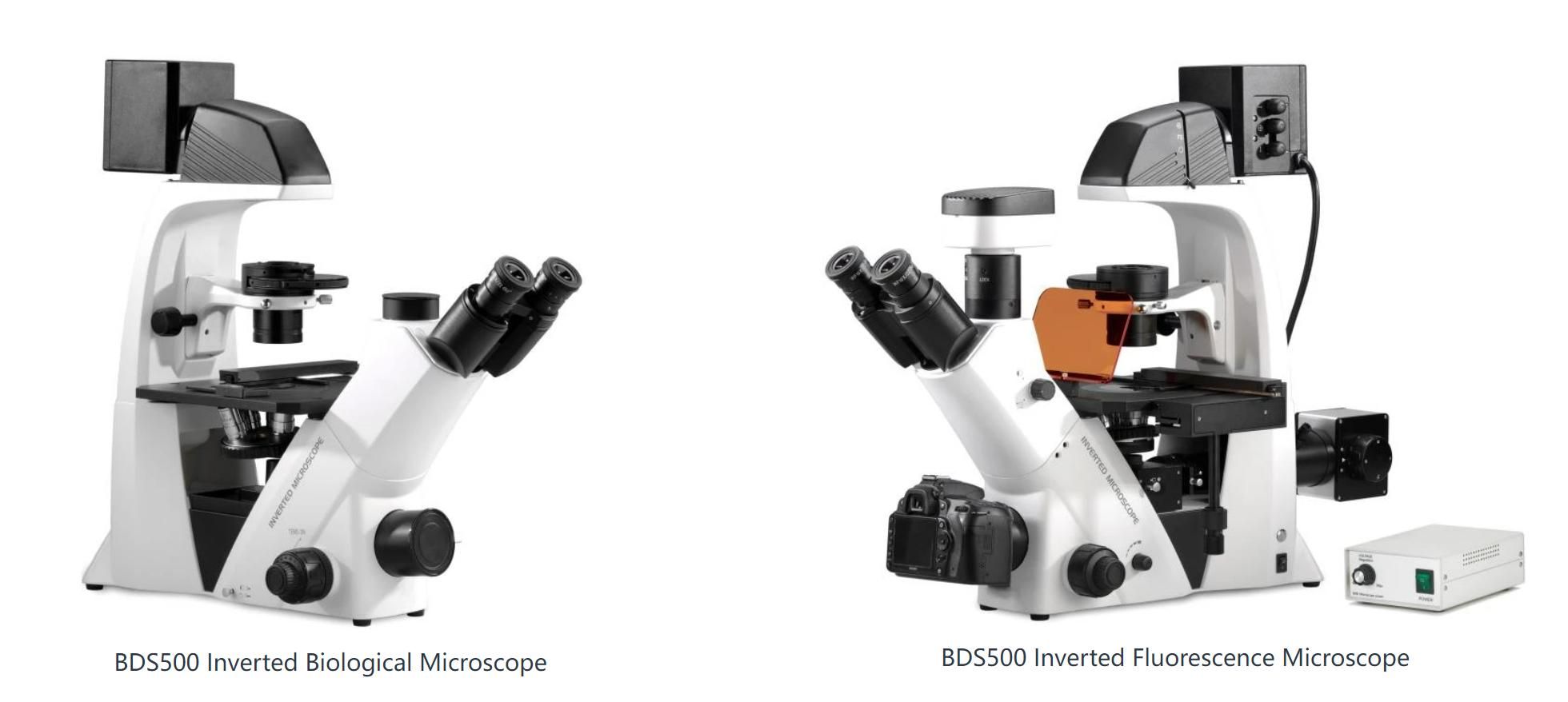Top Features of Advanced Inverted Biological Microscopes - Scopelab