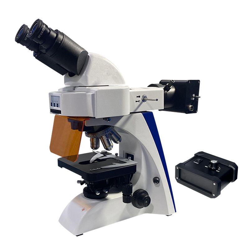 BK6000-FL Fluorescence Microscope Supplier- Scopelab