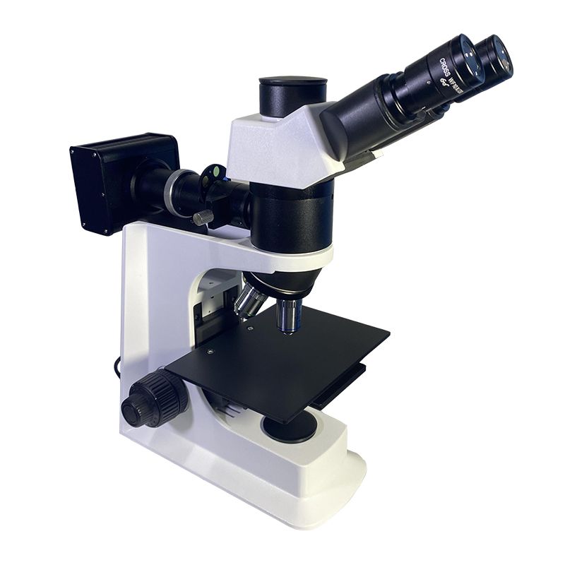 A Comprehensive Guide to Metallographic Microscopes - Scopelab