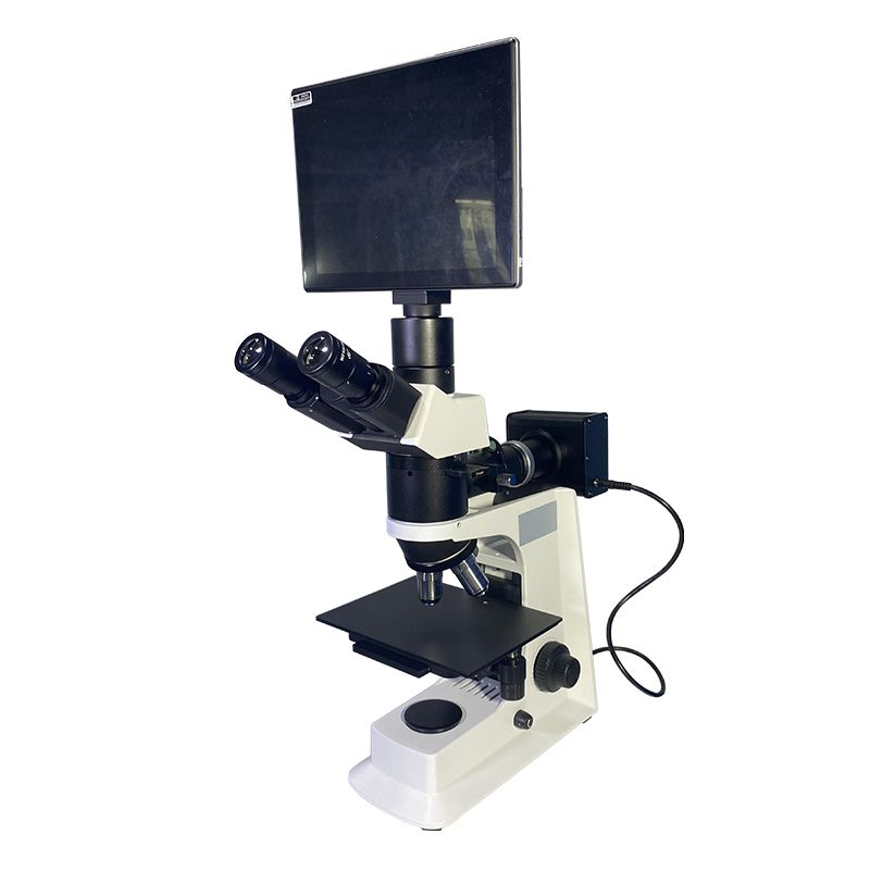 MIT200 Metallurgical Microscope - Scopelab
