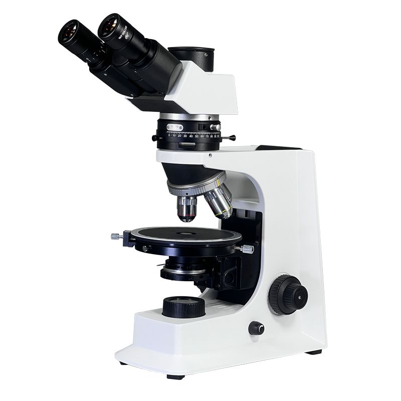 Overview the Polarizing Microscope: Principles, Types, and Applications ...