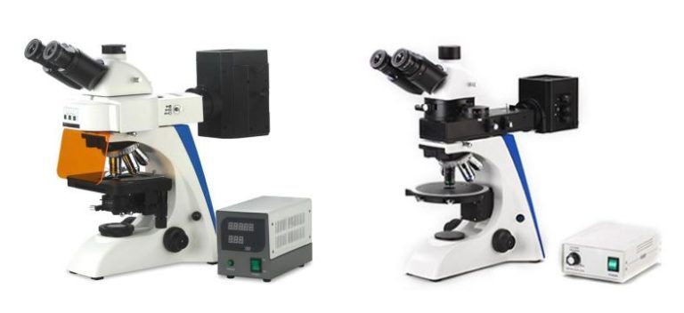 Compound vs. Stereo Microscopes: Pros, Cons, and Uses - Scopelab