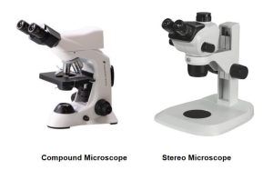 Compound vs. Stereo Microscopes: Pros, Cons, and Uses - Scopelab