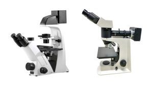 Compound vs. Stereo Microscopes: Pros, Cons, and Uses - Scopelab