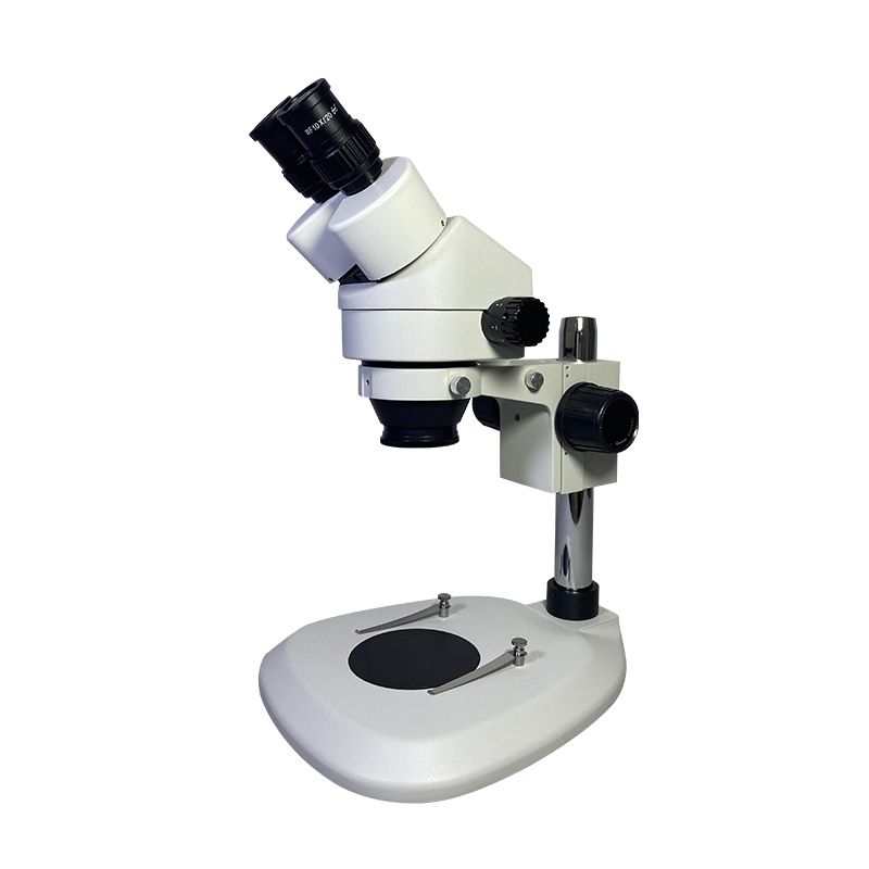 Stereo Microscopes: A Guide to Types, Uses, and Choosing the Right One ...