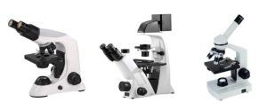 Different Types of Microscopes in Biology and Their Applications - Scopelab