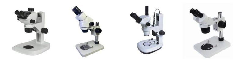 What is the best microscope to see bacteria?- Scopelab