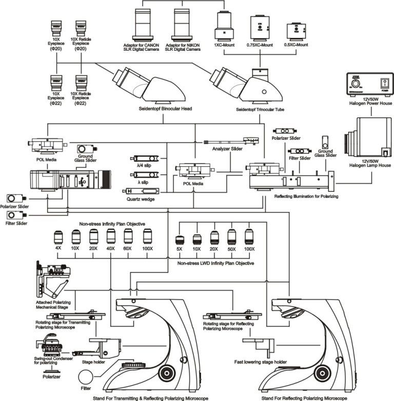 BK-POL Series Polarizing Microscope - Scopelab
