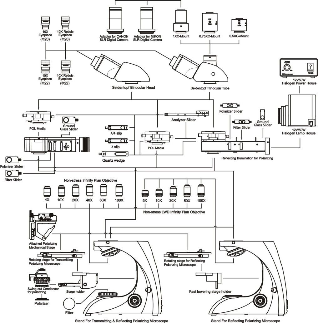 BK-POL Series Polarizing Microscope - Scopelab